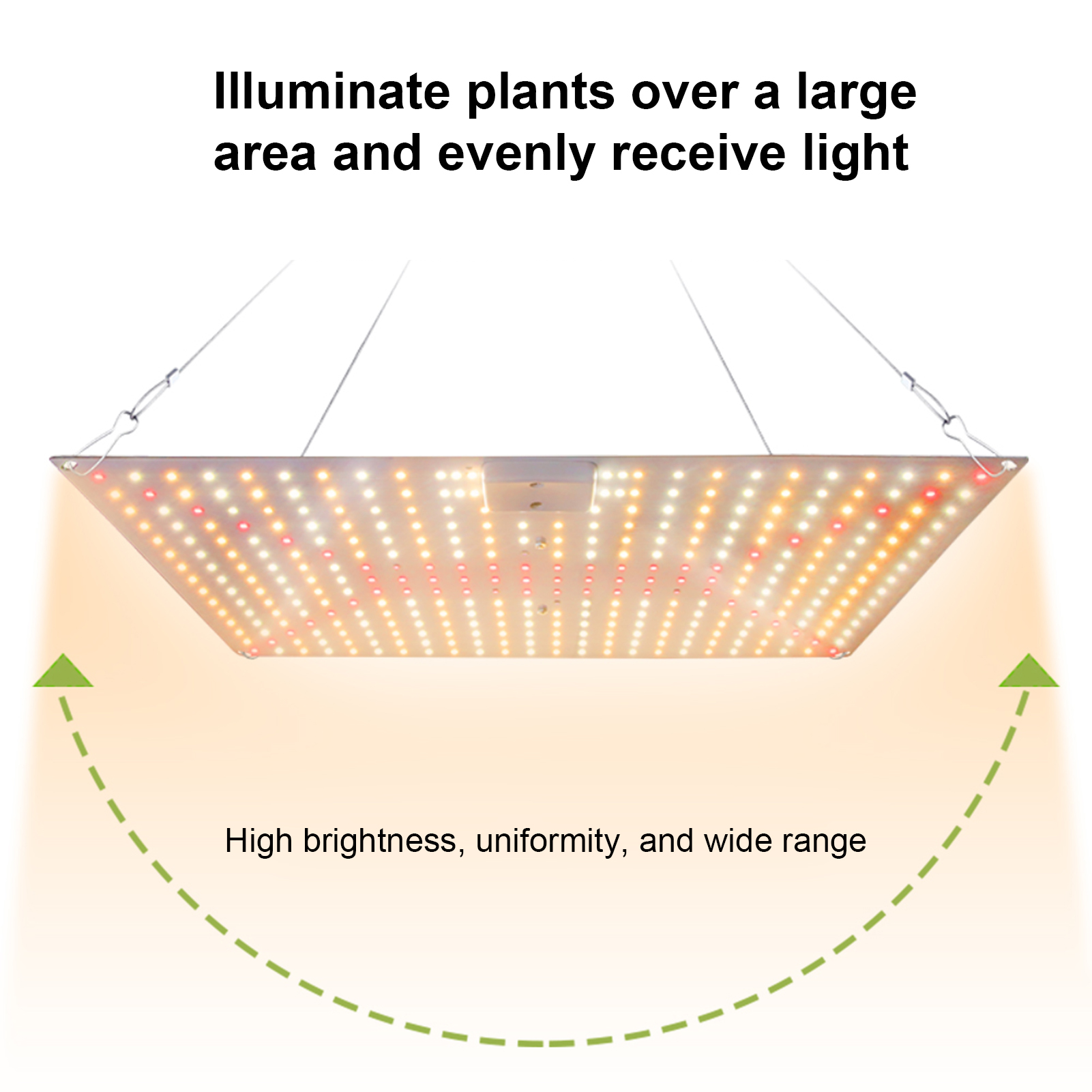Plant Lamp LED Succulent Fill Light 50W Full Spectrum Plant Grow Light ...