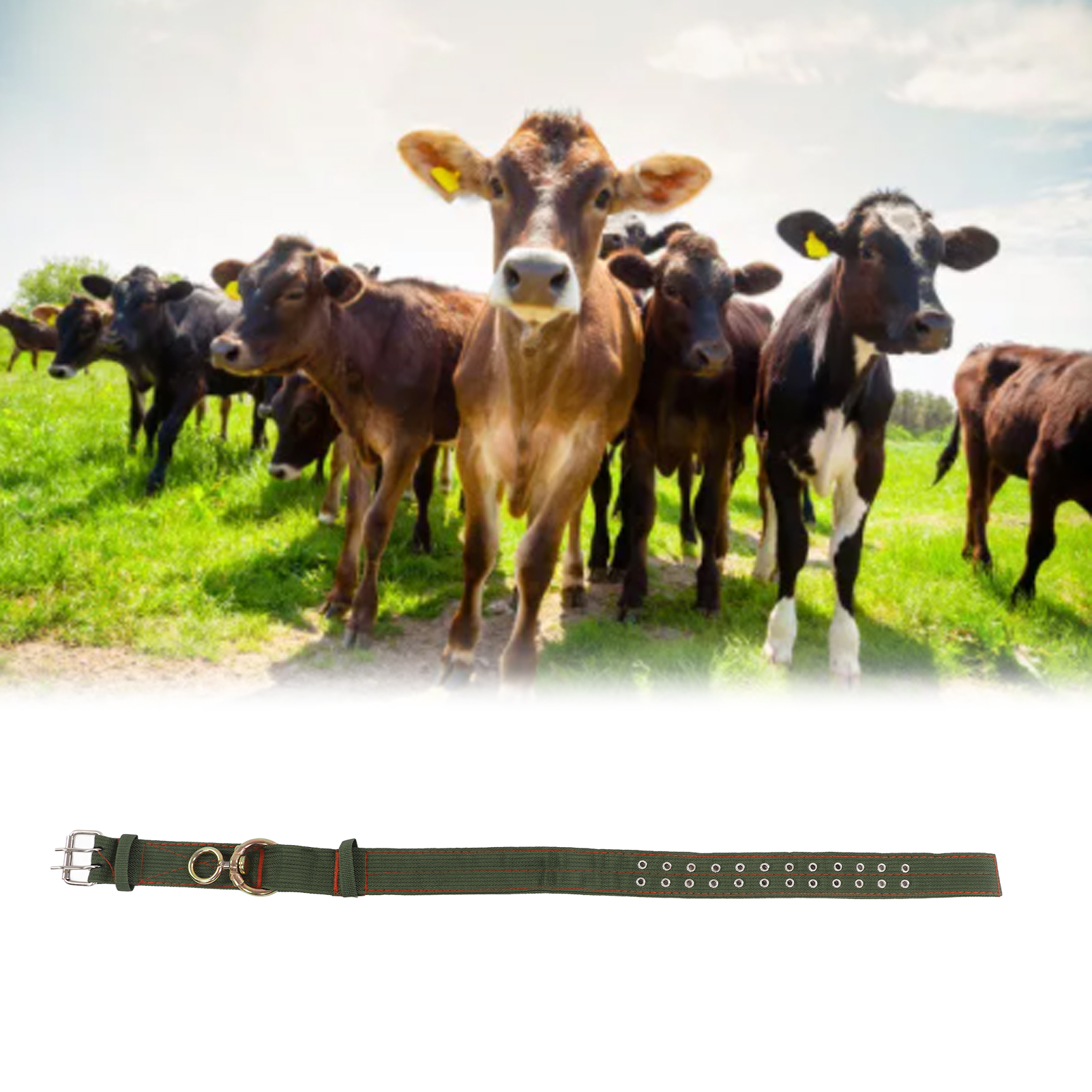 Adjustable Canvas Cow Collar 4 Layers Metal Buckle for Cattle Stable ...